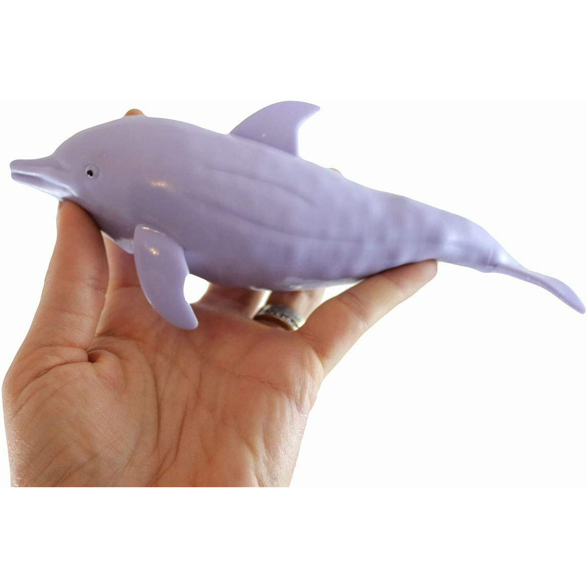 Purple Dolphin