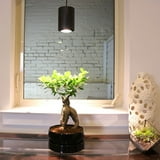 Great Value 2.36" LED Value Energy Saving Indoor Grow light, pink ...