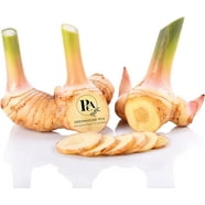 Greenhouse PCA's 10 Live Pre-Sprouted Organic Peruvian Ginger Rhizomes ...