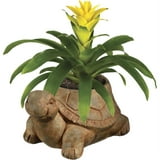 Classic Home and Garden Cement Buddies Indoor Outdoor Planter with ...