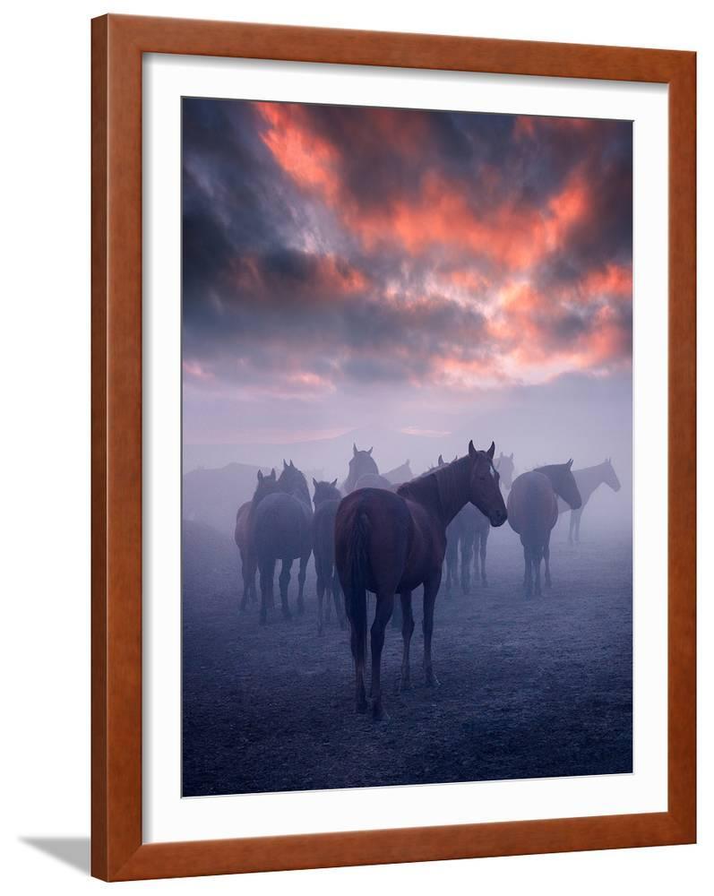 Wild Horses, Animals Framed Art Print Wall Art by Cuma Cevik Sold by ...