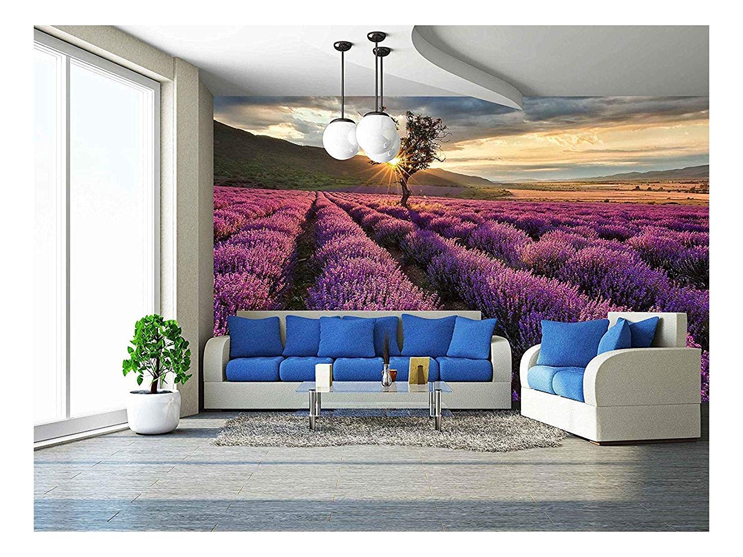 Wall26 Stunning Landscape with Lavender Field at Sunrise - Removable ...
