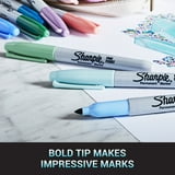 Sharpie Big Pack Ultimate Collection - Permanent, Fine Point Markers ...