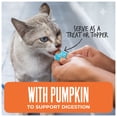 (2 pack) Tiki Cat Friends Stix Tuna & Pumpkin Flavor, 1.6 oz. Pouch ...