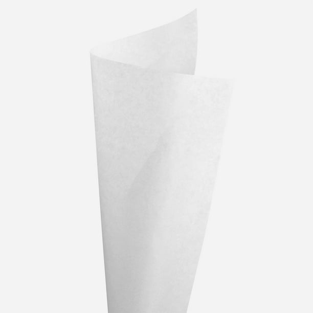 Way to Celebrate White Solid Tissue Paper 12 Count - Walmart.com