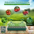 Koralakiri 2 Pack Seed Starter Tray, 80 Cells, Grow Light with Timer ...