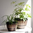 Whiskey Barrel Planter | Rustic Plastic Resin Outdoor Planter Pots for ...