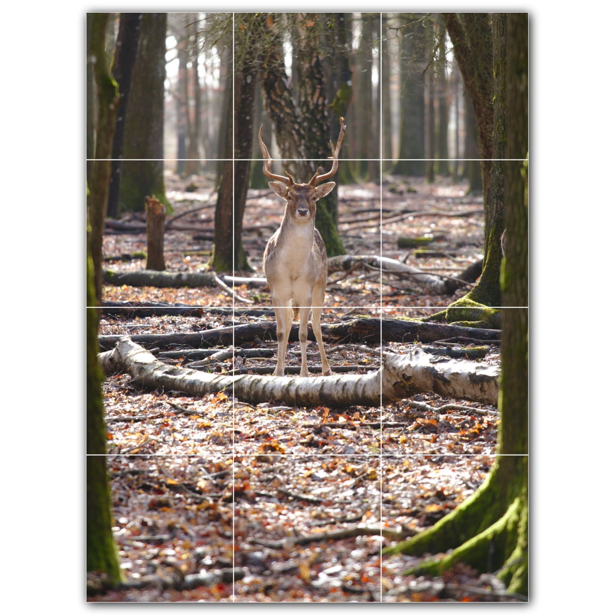 Picture-Tiles.com: Deer Ceramic Tile Wall Mural WAL500460-34XL. 36"W x ...