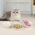 AHXLL, Cat Bowl, 5.75 inch Wide Shallow Ceramic Pet Feeder, White ...