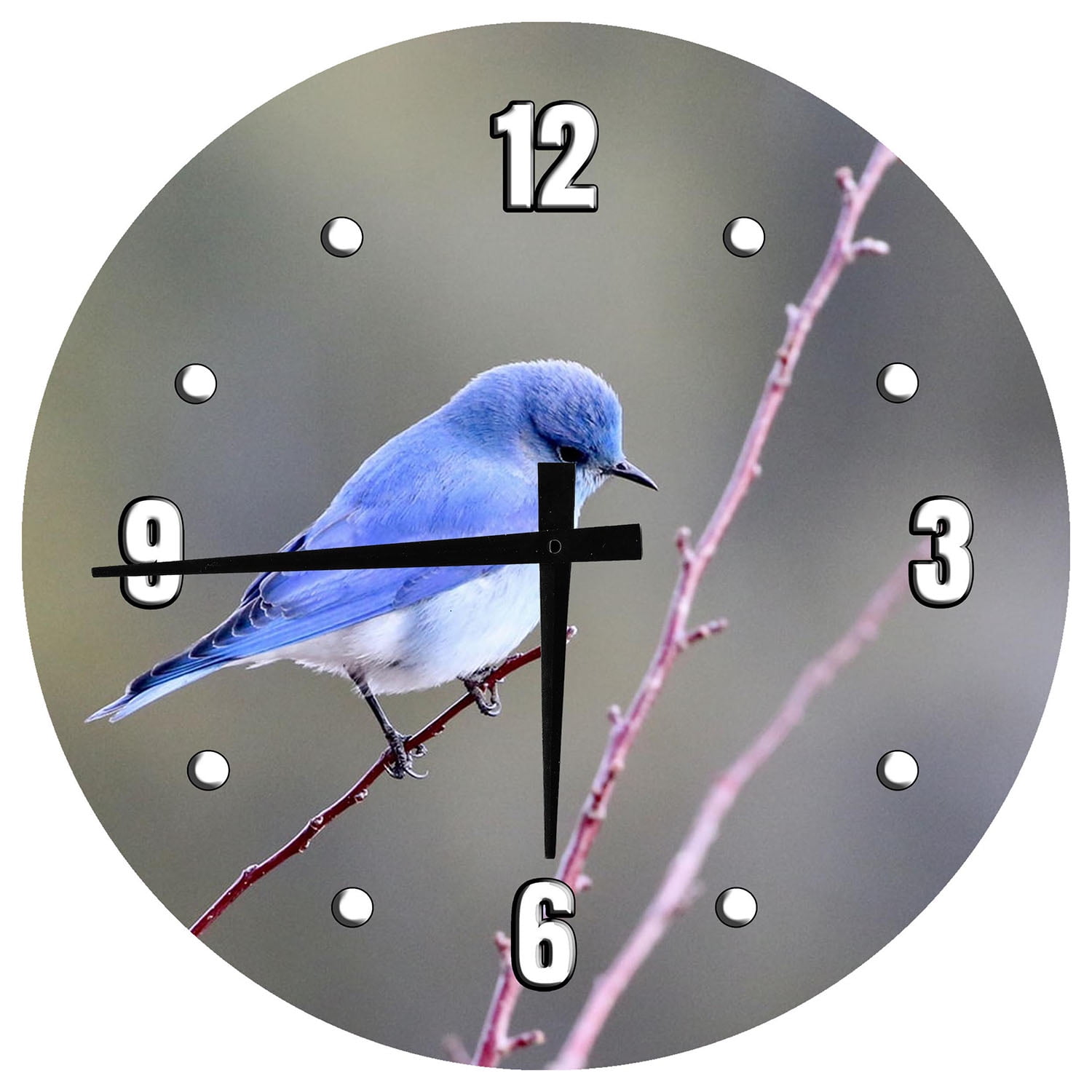 Wood Wall Clock 18 Inch Round Mountain Bluebird Blue Grey Bird Round ...