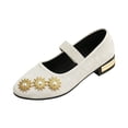 Bkhluea Women Sun Embroidery Rhinestone Suede Mary Jane Low Block Heel ...
