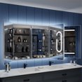 Illusion-B 66"x36" LED Lighted Inset, Bathroom Vanity, Recessed Wall ...