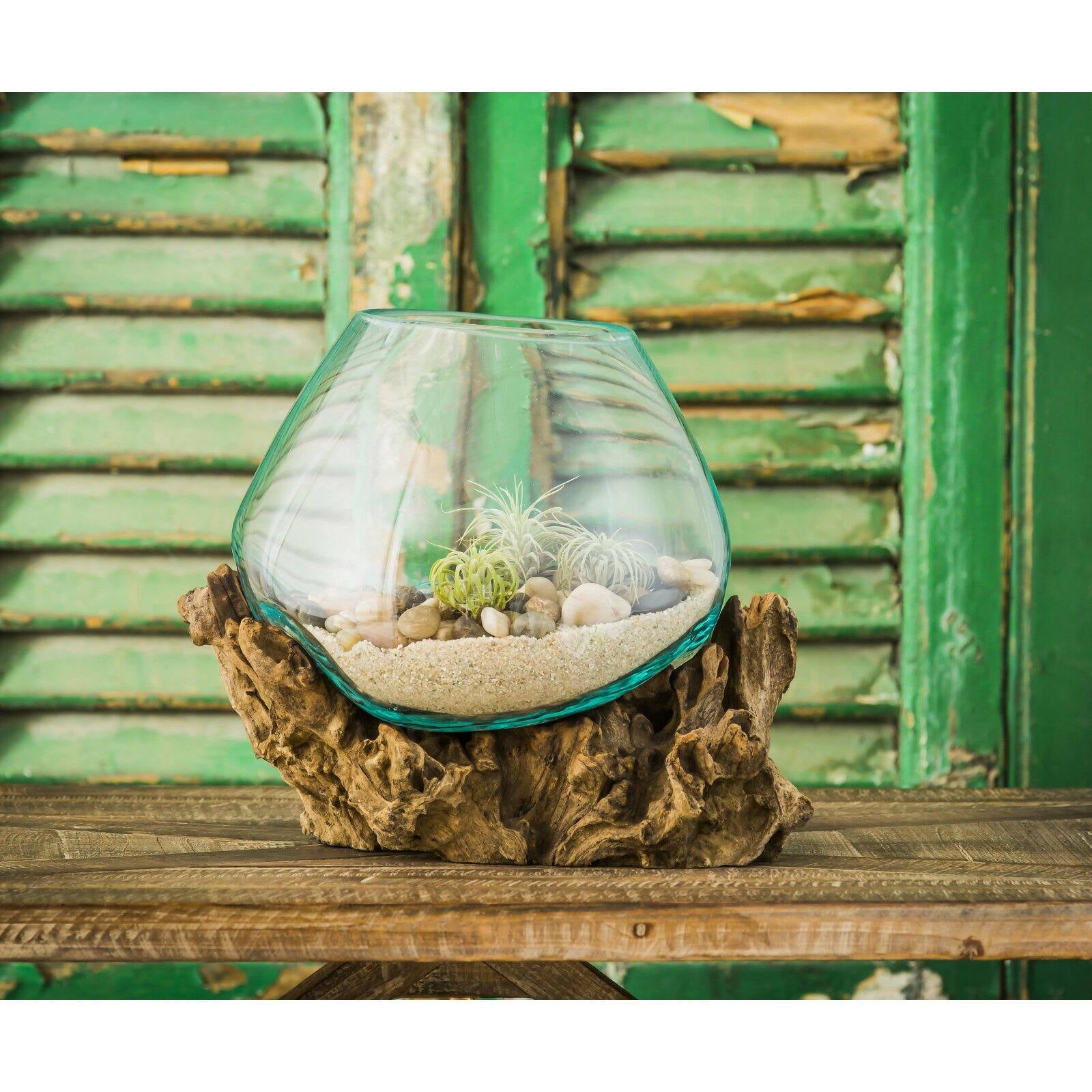 Evergreen Glass Planter on Driftwood - Walmart.com