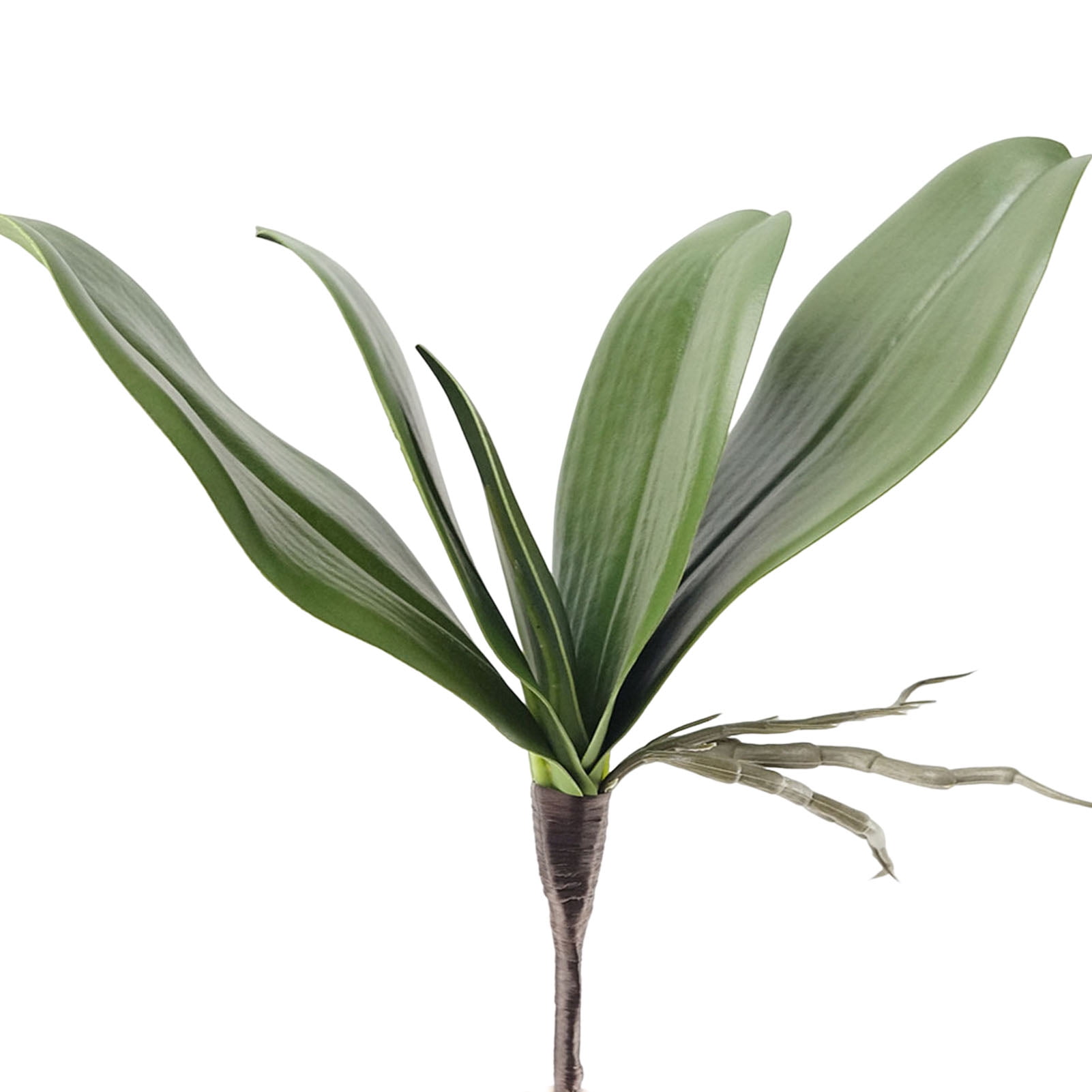 FaLX Simulation Leaves Non-Wilting Fake Phalaenopsis Orchid Leaves Home ...