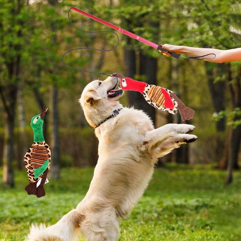 Buy Interactive Dog Wand Toy Stick Catcher Cat Kittens Chase Boredom ...