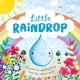 Nature Stories: Little Raindrop : Padded Board Book (Board book ...