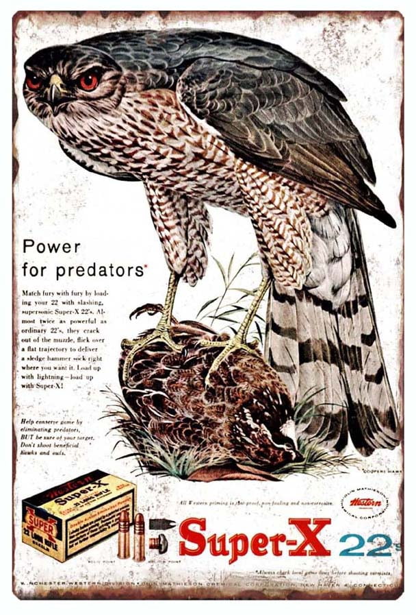 Winchester super speed 22 Firearms Ammunition crow hawk metal tin sign ...