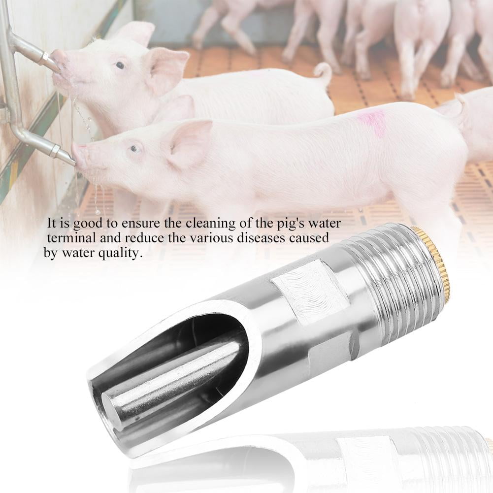 Ccdes Pig Nipple Waterer, Pig Drink Waterer,5pcs Stainless Steel ... Ccdes Pig Nipple Waterer, Pig Drink Waterer,5pcs Stainless Steel ...