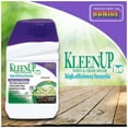 Bonide KleenUP Weed & Grass Killer, High Efficiency Herbicide, Kills ...