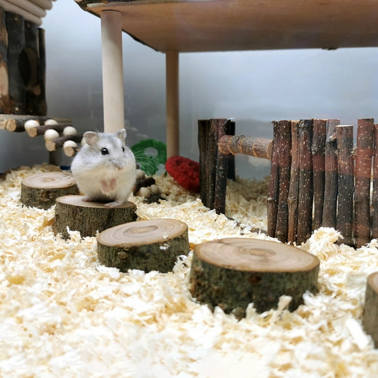 Lifespan Of A Dog: A Dog Years Chart By Breed, 42% OFF