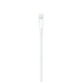 Apple Lightning to USB Charging Cable 1m Compatible with iPhone iPad ...