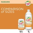 Canada Dry Original Carbonated Mandarin Orange Sparkling Seltzer Water ...