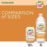 Canada Dry Original Carbonated Mandarin Orange Sparkling Seltzer Water ...
