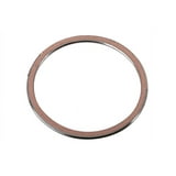 GM 12672379 Catalytic Converter Gasket - Walmart.com