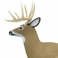 Shooter 3D Big Shooter Buck Target - Walmart.com