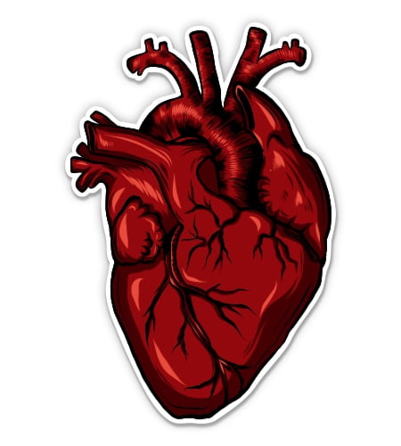 Heart Realistic - 8" Vinyl Sticker - For Car Laptop I-Pad - Waterproof ...