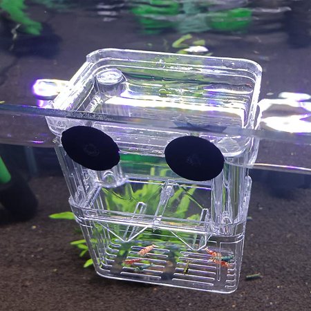 FanShow Starlight-aquarium Fish Hatchery Plastic Floating Fish Breeding ...