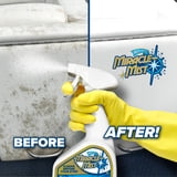 MiracleMist Instant, Mold and Mildew Spray Remover for RV and Boat's ...