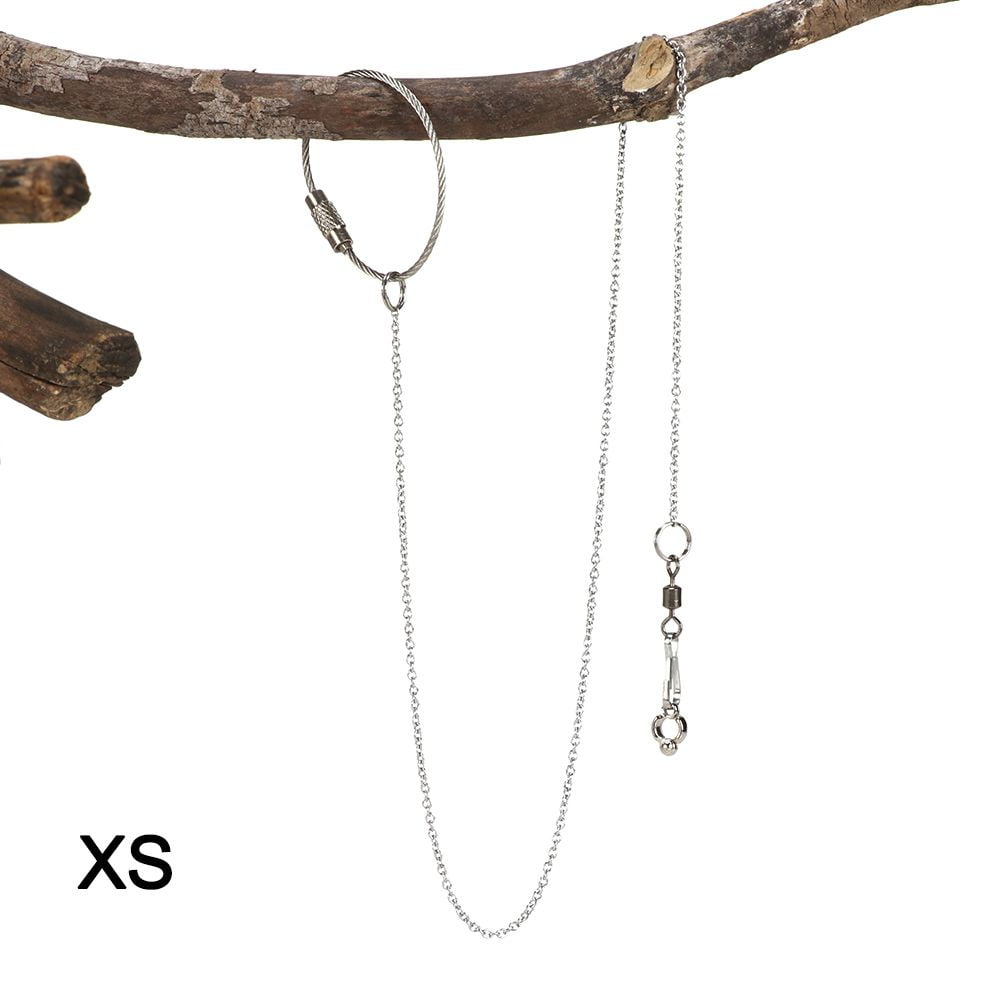 Bird Accessories Stainless Steel Safe Flying Training Bird's Foot Ring ...