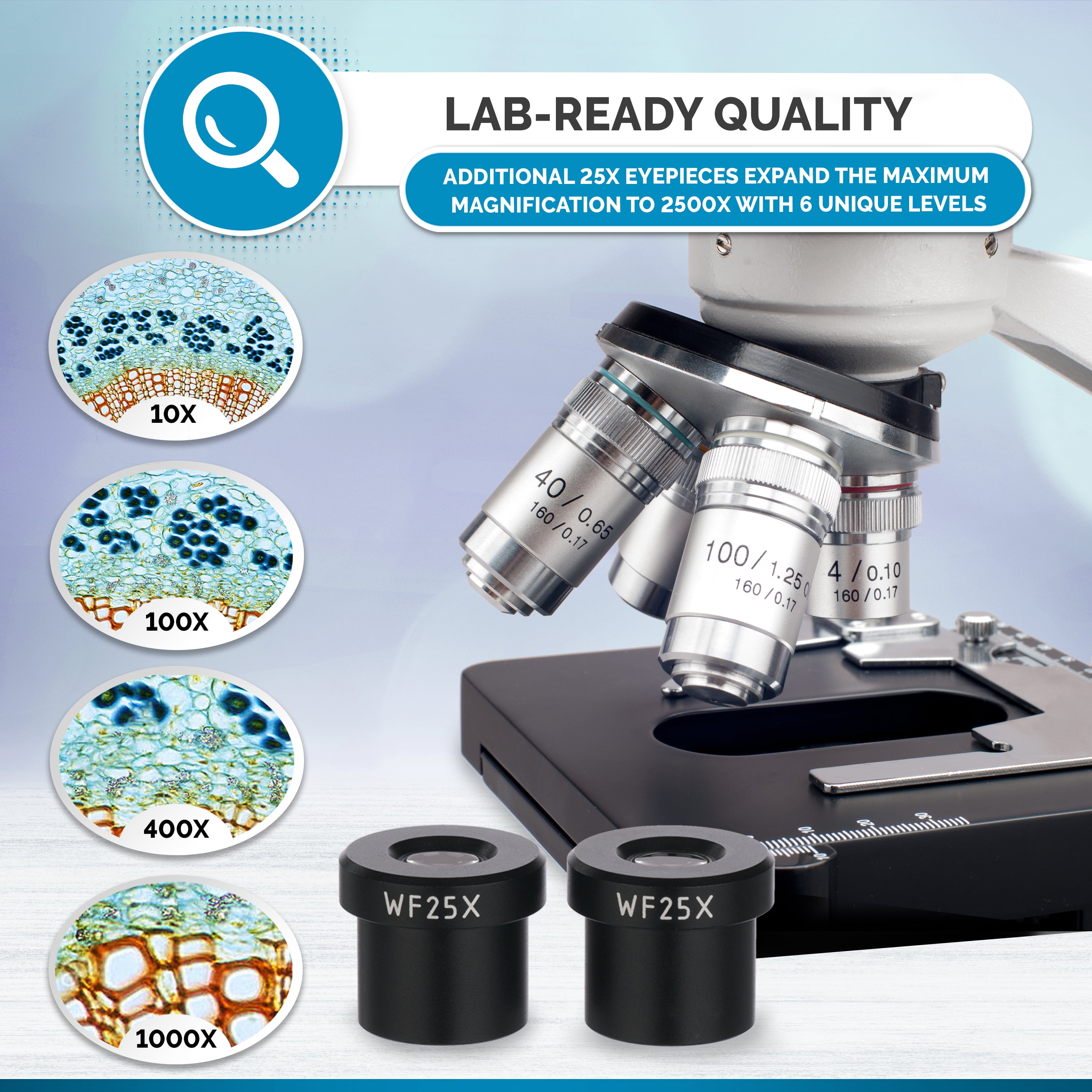 Buy AmScope 40X-2500X LED Lab Binocular Compound Microscope with 3D-Stage Online at Lowest Price ...