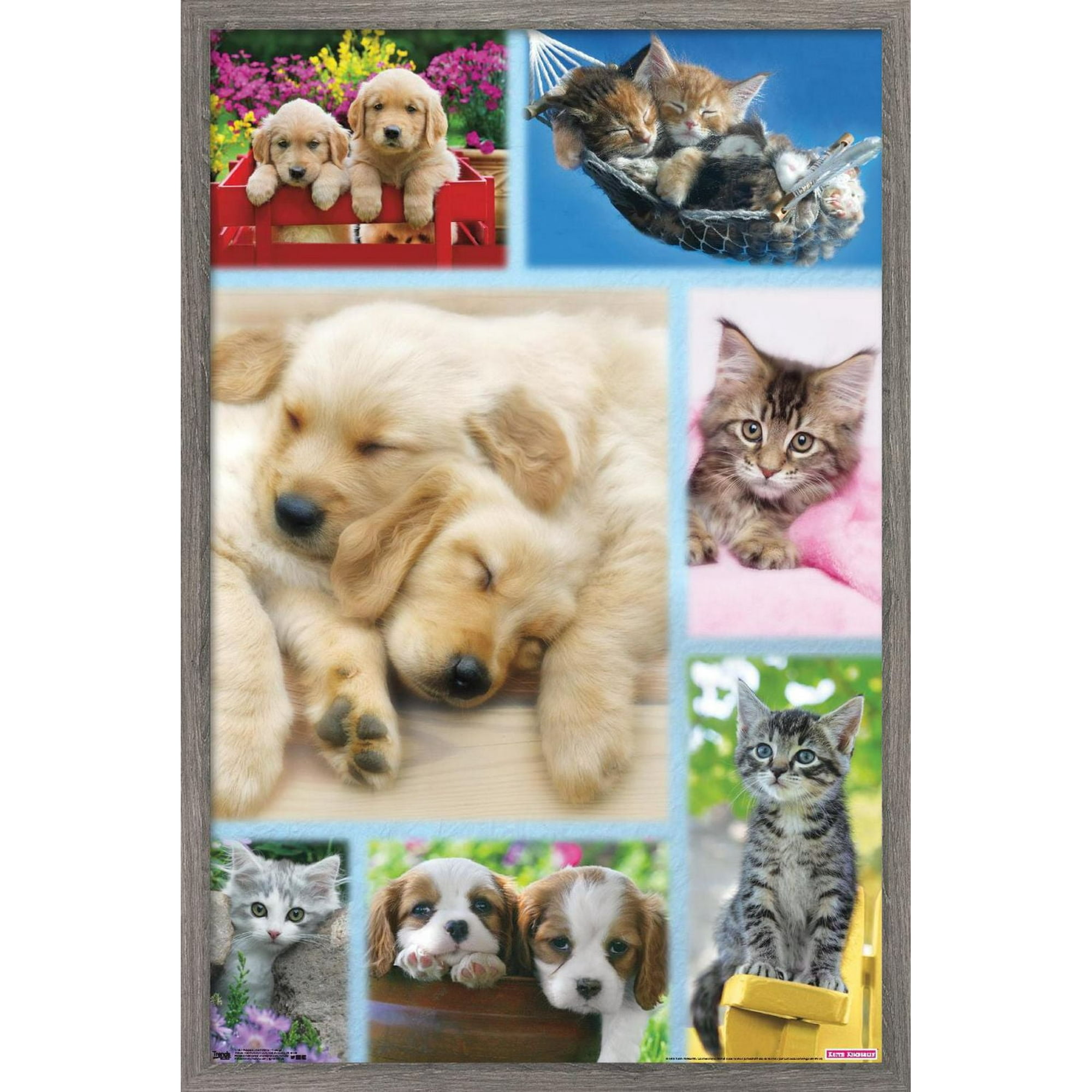 Click here for Trends International Keith Kimberlin - Puppies And... prices