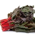 Swiss Chard Seed - Swiss Chard Ruby Red Herb Seeds - 2000 Seeds ...