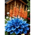 3 PCS -Blue Hosta-Garden Stakes Planting-(hosta for planting ...