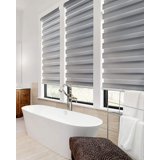 CHICOLOGY Zebra Roller Shade, Window Zebra Blind, Light Filtering, Basic Slate, 41"W X 72"H ...