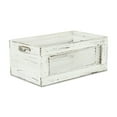 Cheungs FP-3889-2W Wood Crate with Chicken Wire Sides - Set of 2 ...