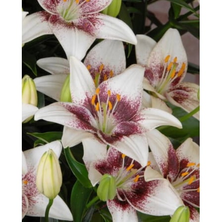 Roselily™ Esra Double Oriental Lily - 3 Bulbs - Walmart.com