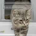 PawHut Enclosed Cat Litter Box, Front Entry, Top Exit, Gray - Walmart.com