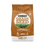 TifBlair Centipede Grass Seed (1 Lb.) from Patten Seed Company, Ideal ...