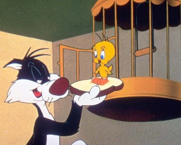 Sylvestor and Tweety 16x20 poster Tweety on piece of bread - Walmart.com