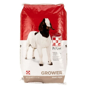 Ridley Sheep and Goat Outdoor Protein Block for Pasture Diets, 33lb ...
