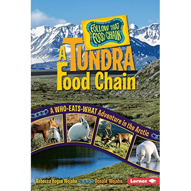 Tundra Food Chain