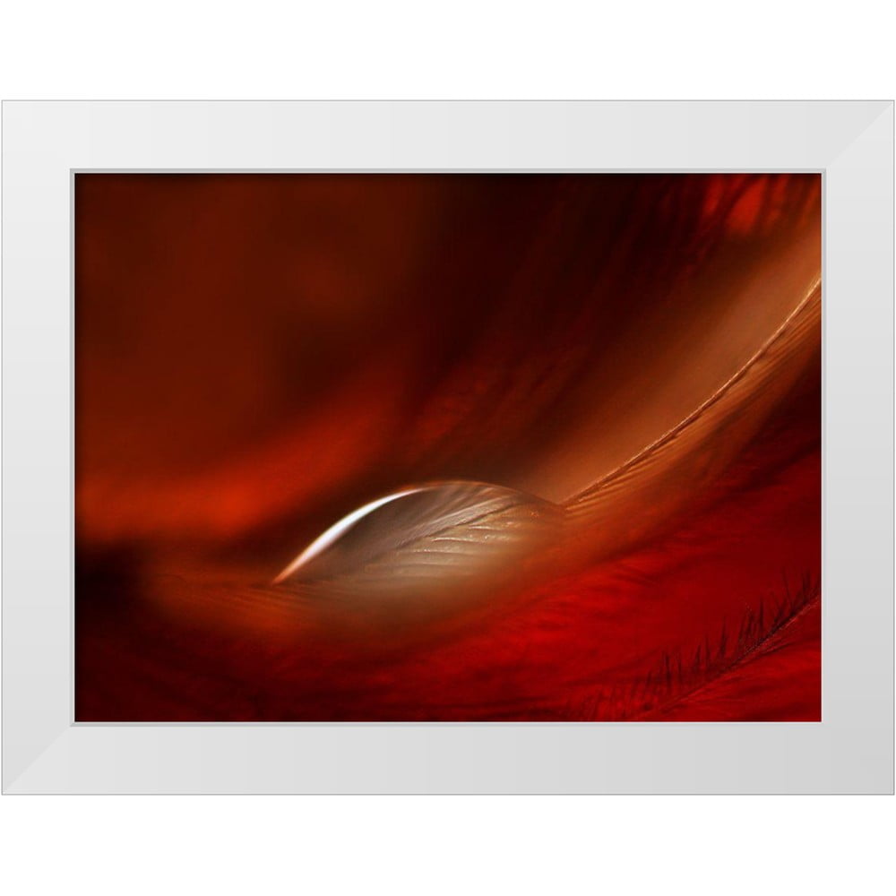 Kerber, Jutta 24x19 White Modern Wood Framed Museum Art Print Titled ...