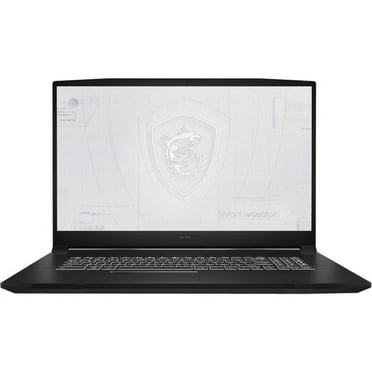 MSI WE73 Workstation Laptop 17.3", Intel Core i7-8750H, NVIDIA Quadro ...