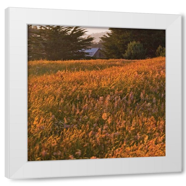 Rita Crane 12x12 White Modern Wood Framed Wall Art Titled - Golden ... Rita Crane 12x12 White Modern Wood Framed Wall Art Titled - Golden ...