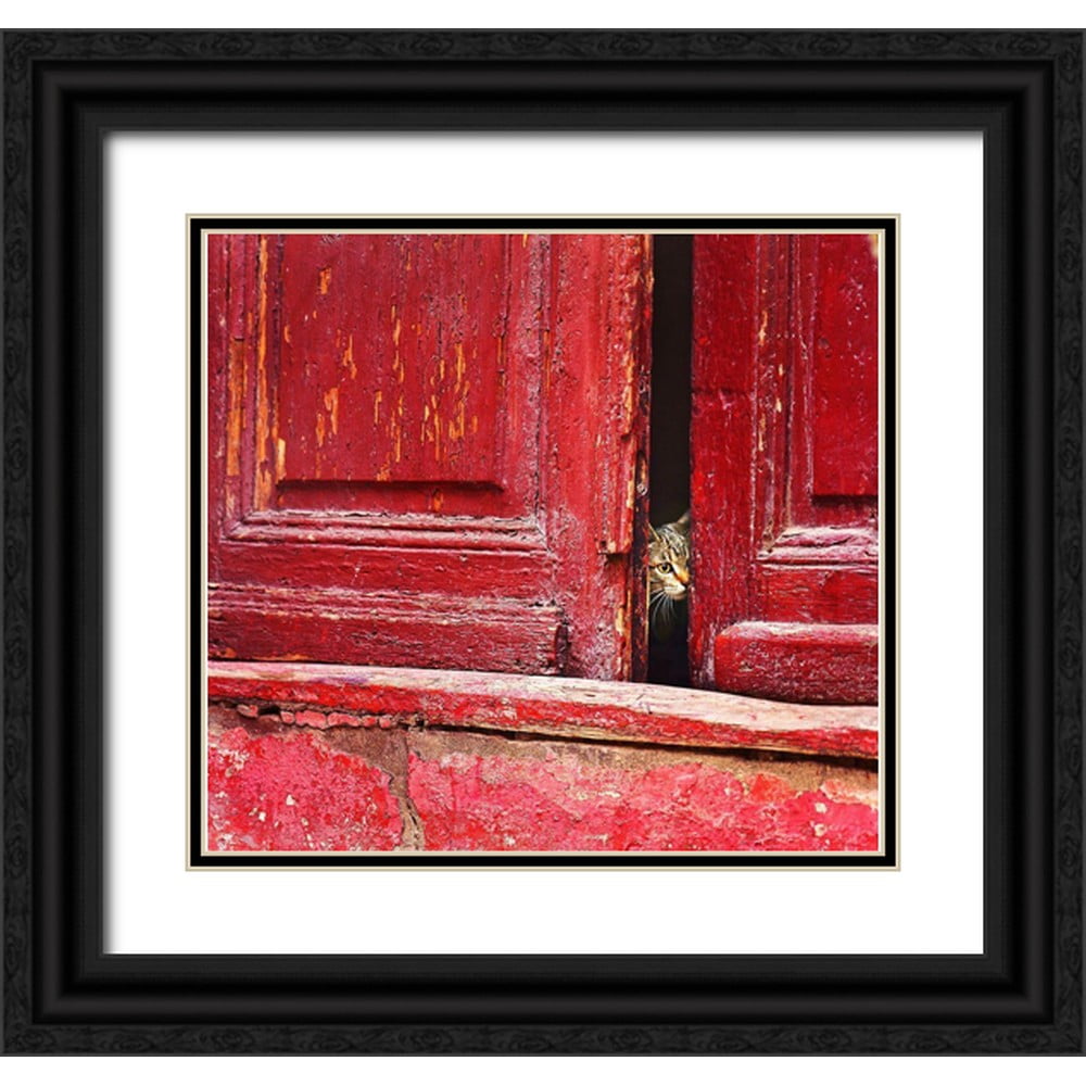 Elena, Raceala 28x26 Black Ornate Wood Framed with Double Matting Museum Art Print Titled ...