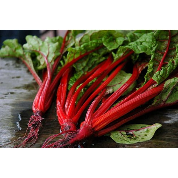 Swiss Chard Ruby Red Garden Heirloom Vegetable 150 Seeds - Walmart.com ...